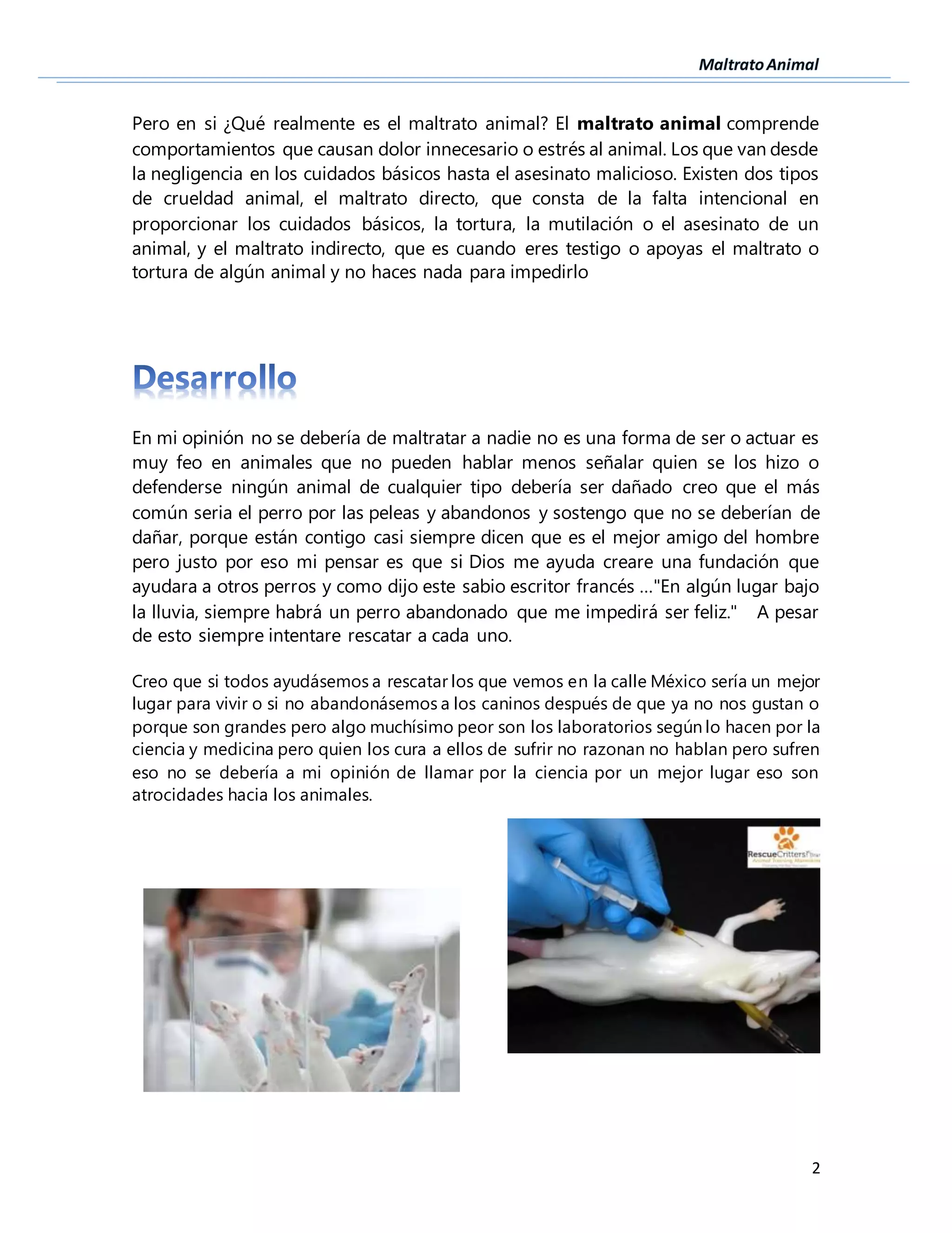 Ensayo maltrato animal | PDF