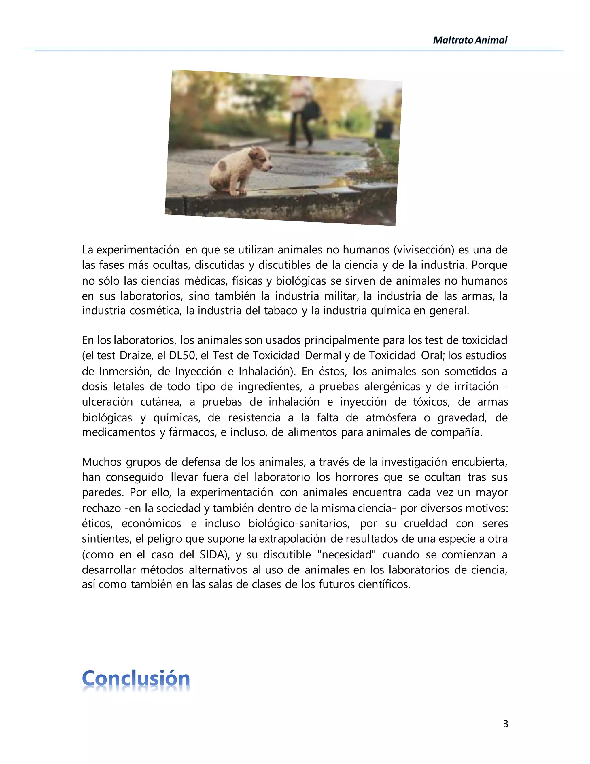 Ensayo maltrato animal | DOCX