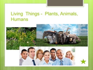 Physical Environment and BioGeoChemical Cycles | PPTX