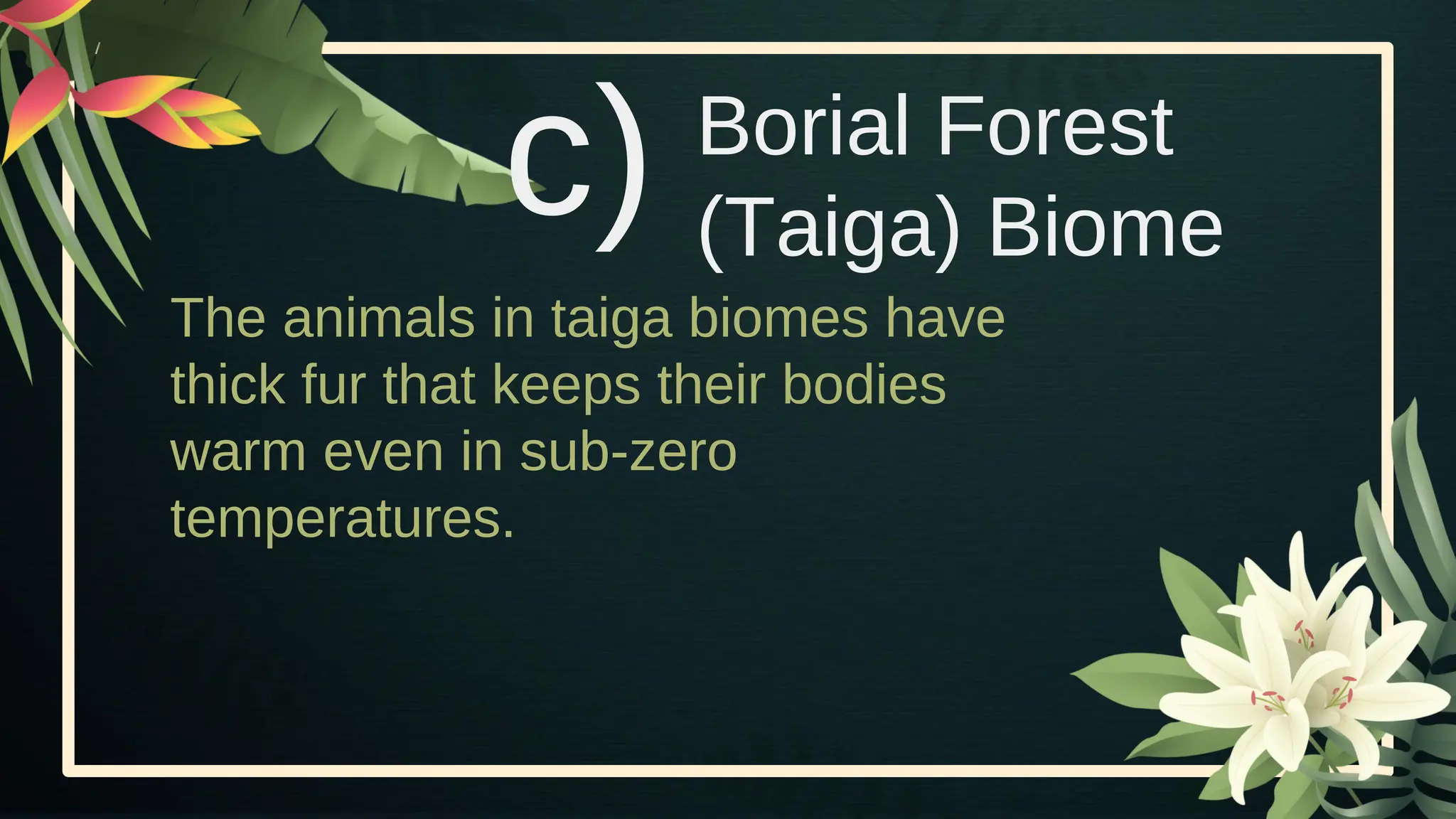 TYPES OR BIOME (environmental science).pdf