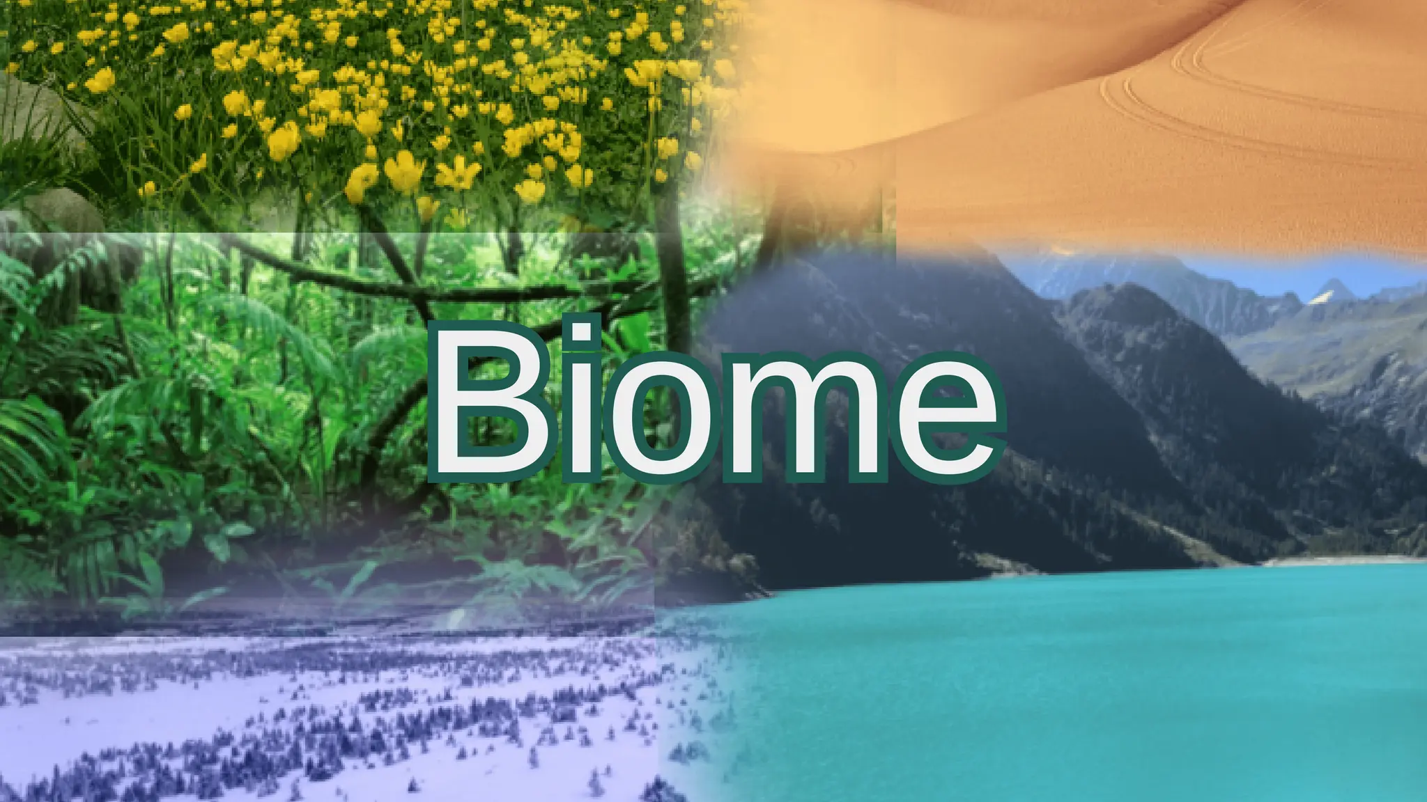 TYPES OR BIOME (environmental science).pdf