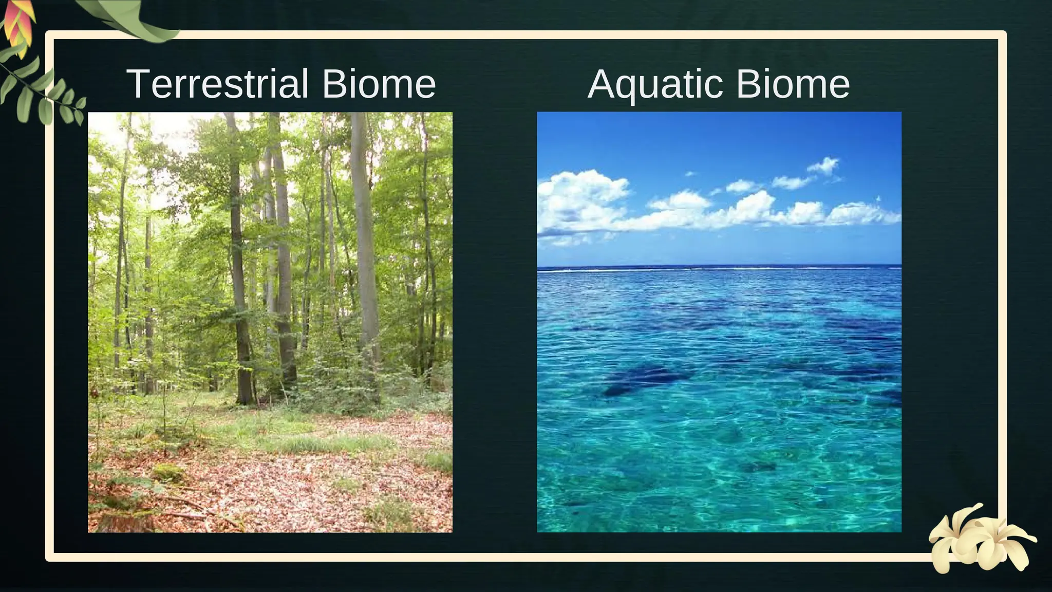 TYPES OR BIOME (environmental science).pdf