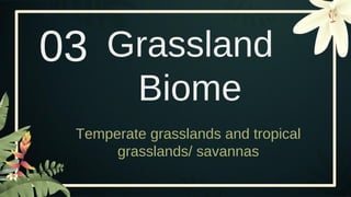 TYPES OR BIOME (environmental science).pdf