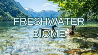 TYPES OR BIOME (environmental science).pdf