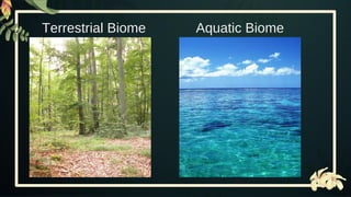 TYPES OR BIOME (environmental science).pdf