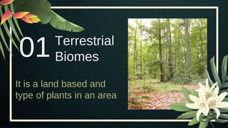 TYPES OR BIOME (environmental science).pdf