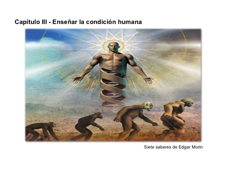 Infografia Condicion Humana PDF