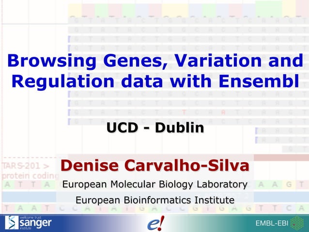 Ensembl Browser Workshop | PDF