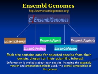 Ensembl genome | PPT