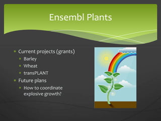 Ensembl plants hsf_d_bolser_2012 | PPTX