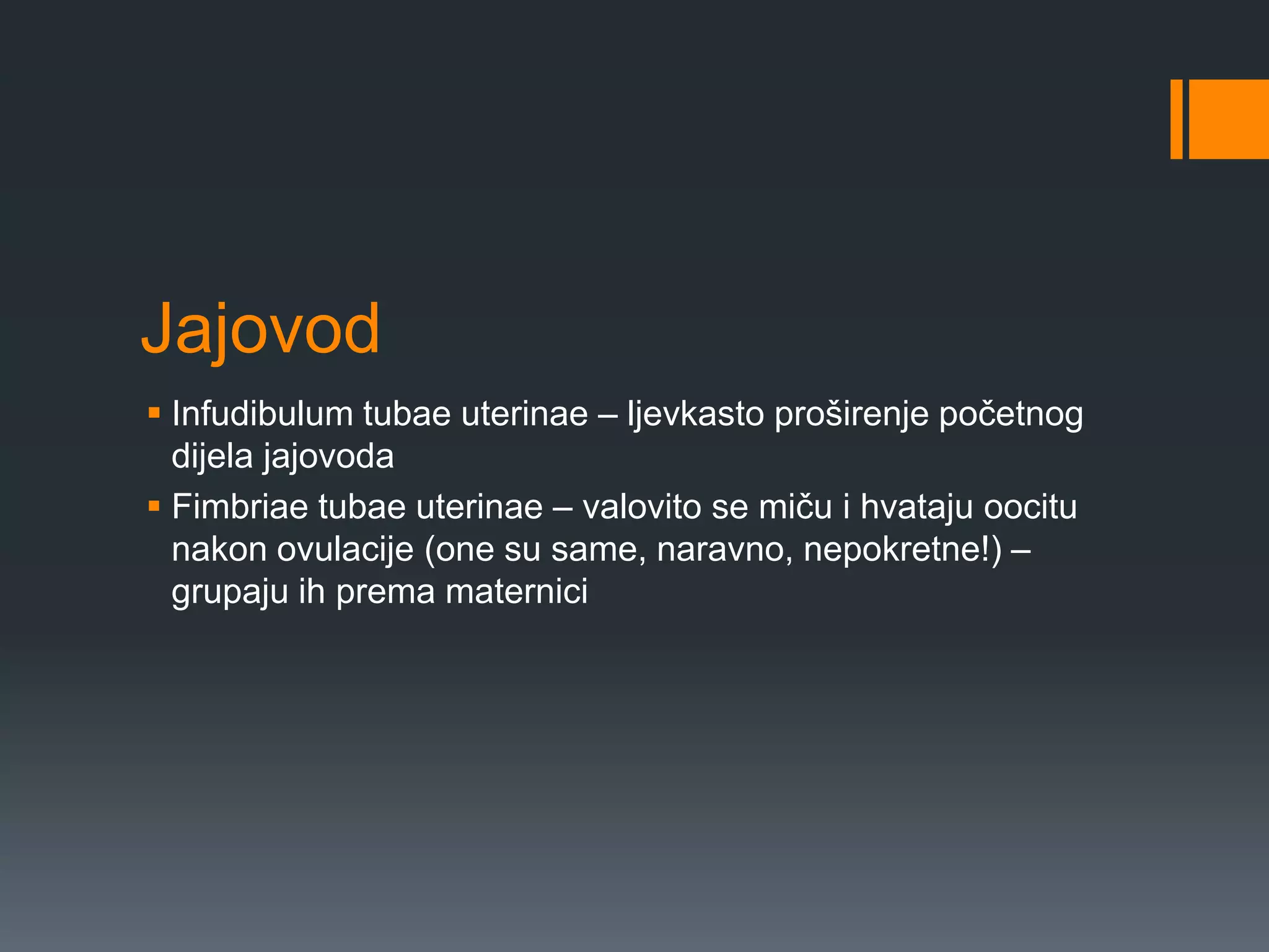 Anatomija ženskog spolnog sustava & menstruacijski ciklus | PPT