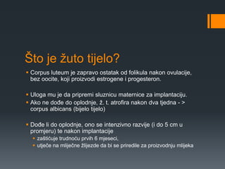 Anatomija ženskog spolnog sustava & menstruacijski ciklus | PPT