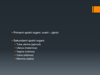 Anatomija ženskog spolnog sustava & menstruacijski ciklus | PPT