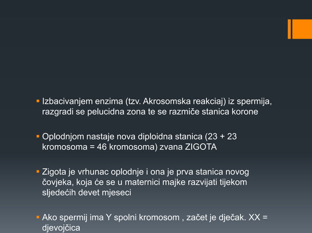 Anatomija ženskog spolnog sustava & menstruacijski ciklus | PPT