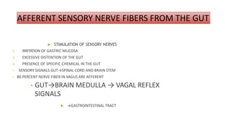 enteric nervous system.pptx