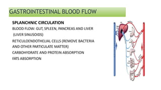 enteric nervous system.pptx
