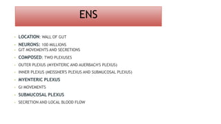 enteric nervous system.pptx