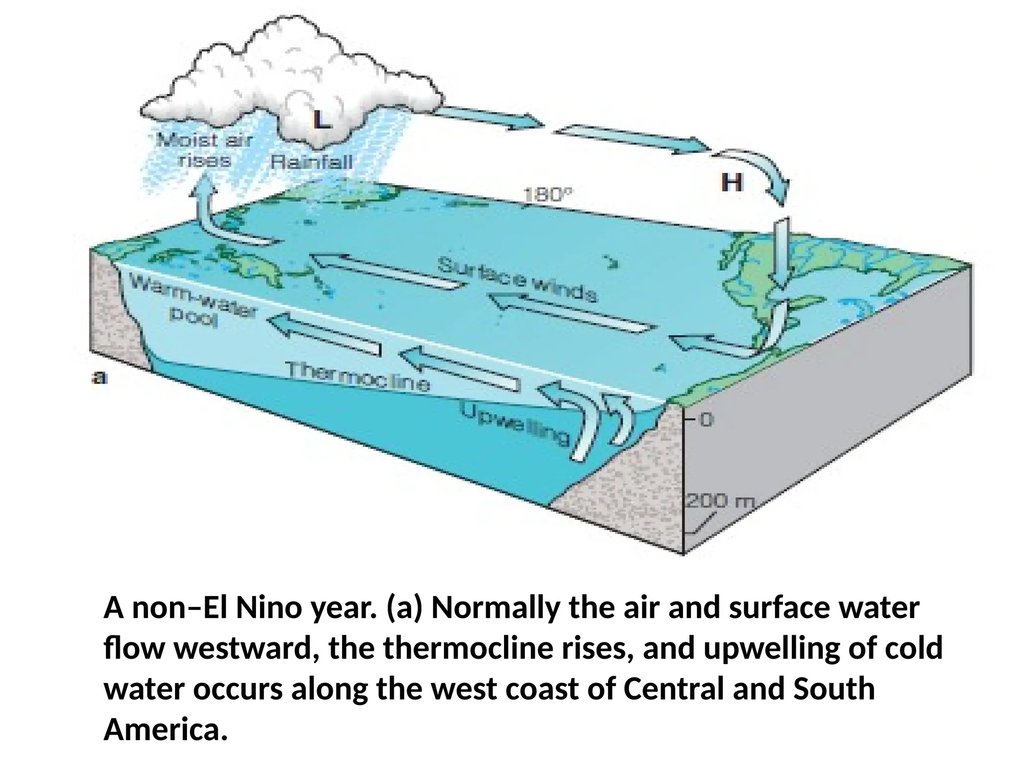 El Nino- Southern Oscillation Presentation | PPTX