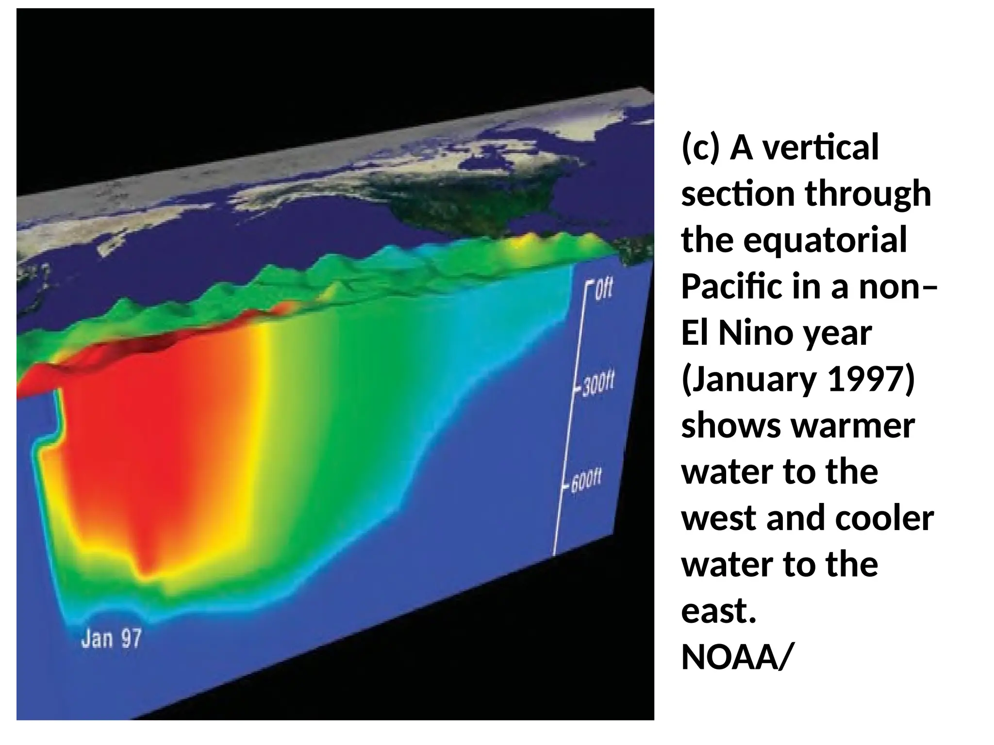 El Nino- Southern Oscillation Presentation | PPTX