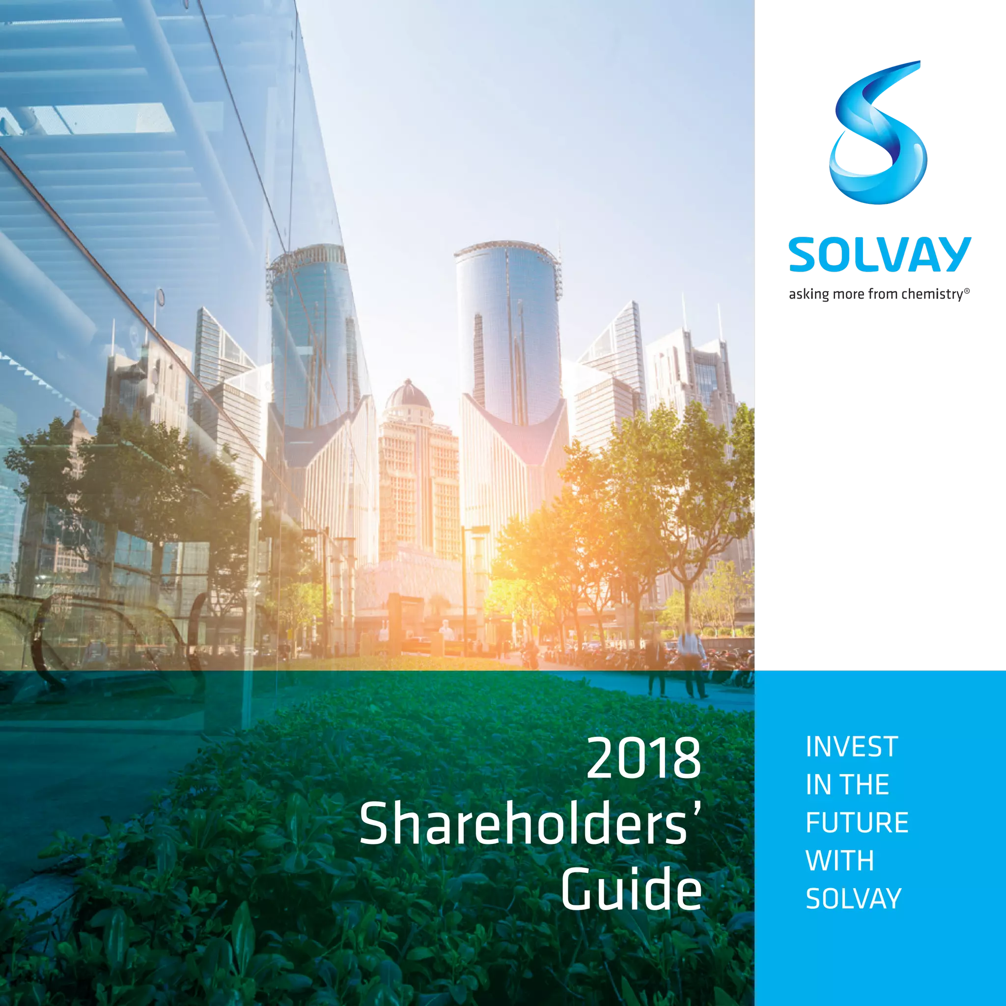 Solvay - Shareholder Guide | PDF