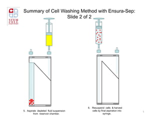 Ensura sep briefing (cell washing concentrate) | PDF