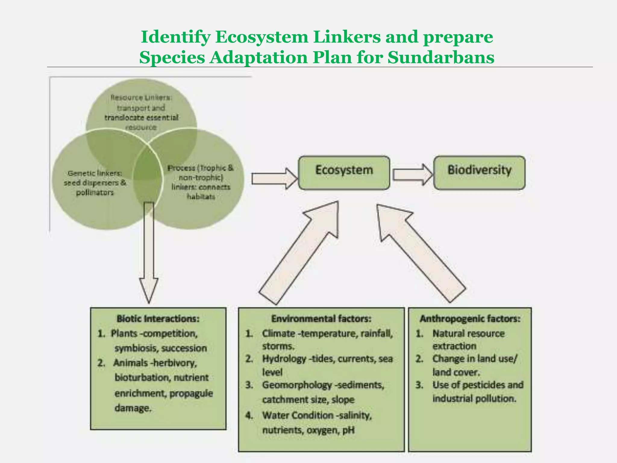 Ensuring ecosystem integrity in Indian Sundarbans | PPTX