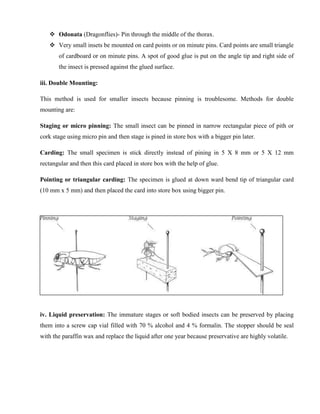 ENT-121-Fundamentals-of-Entomology.pdf notes | PDF