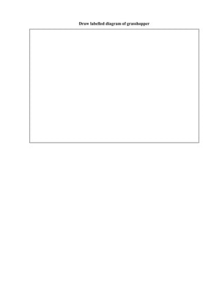 ENT-121-Fundamentals-of-Entomology.pdf notes | PDF
