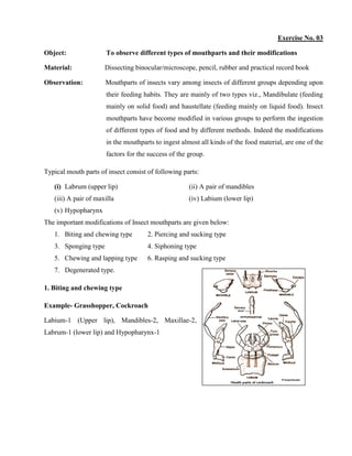 ENT-121-Fundamentals-of-Entomology.pdf notes | PDF