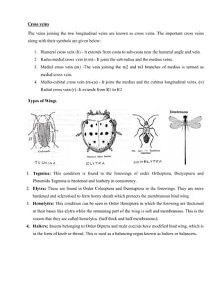 ENT-121-Fundamentals-of-Entomology.pdf notes | PDF