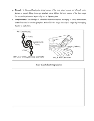 ENT-121-Fundamentals-of-Entomology.pdf notes | PDF