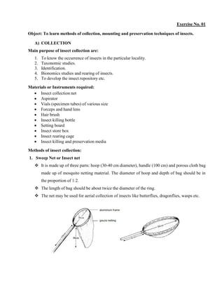 ENT-121-Fundamentals-of-Entomology.pdf notes | PDF