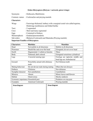 ENT-121-Fundamentals-of-Entomology.pdf notes | PDF