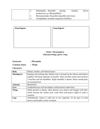 ENT-121-Fundamentals-of-Entomology.pdf notes | PDF