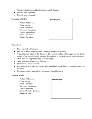 ENT-121-Fundamentals-of-Entomology.pdf notes | PDF