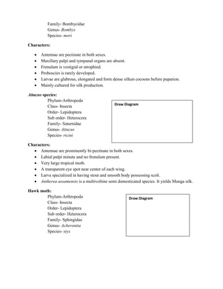 ENT-121-Fundamentals-of-Entomology.pdf notes | PDF