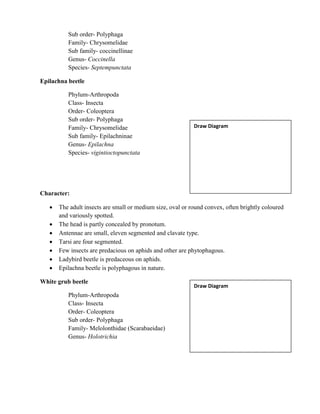 ENT-121-Fundamentals-of-Entomology.pdf notes | PDF