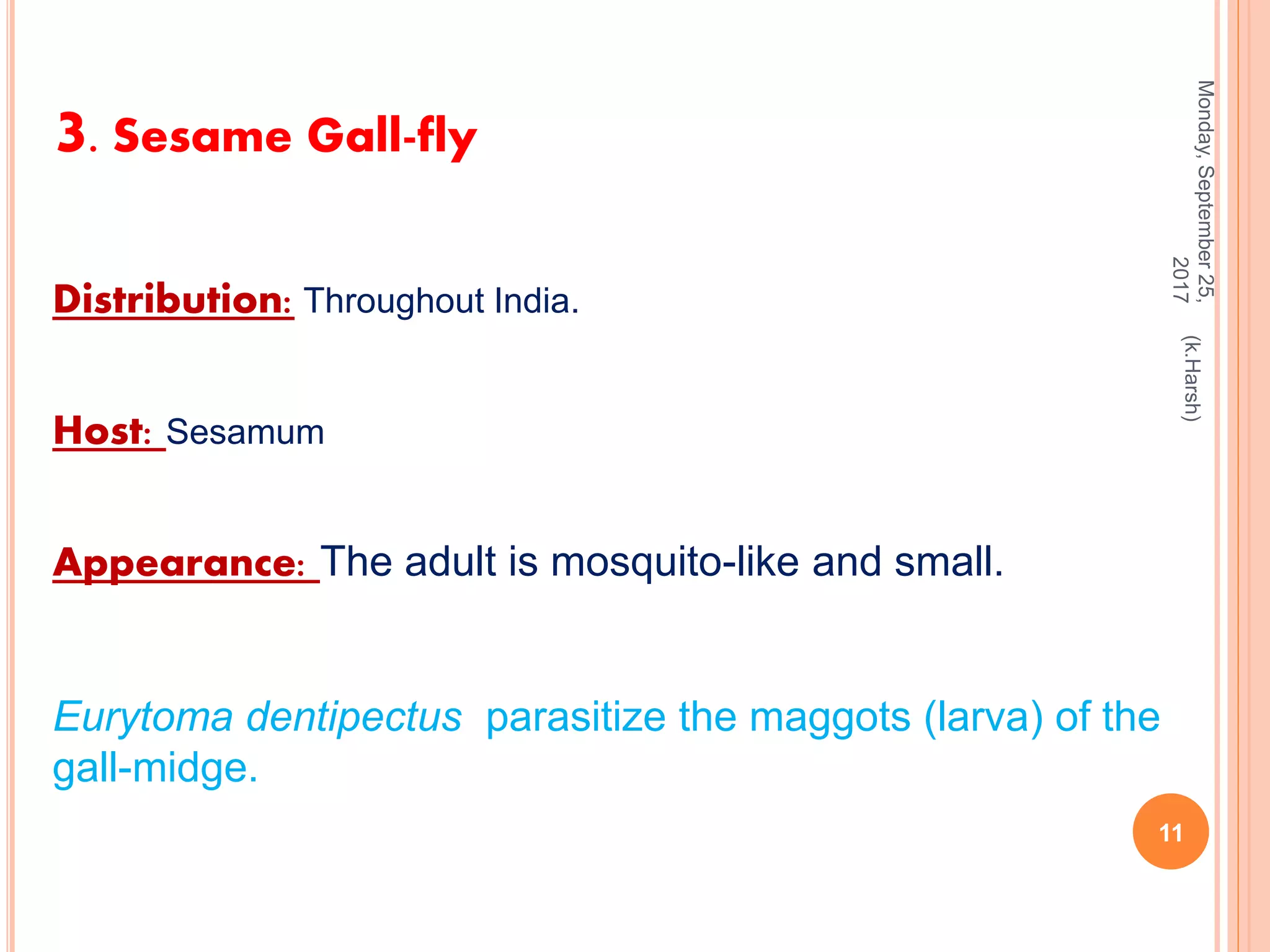 insect-pest of sesame | PPTX