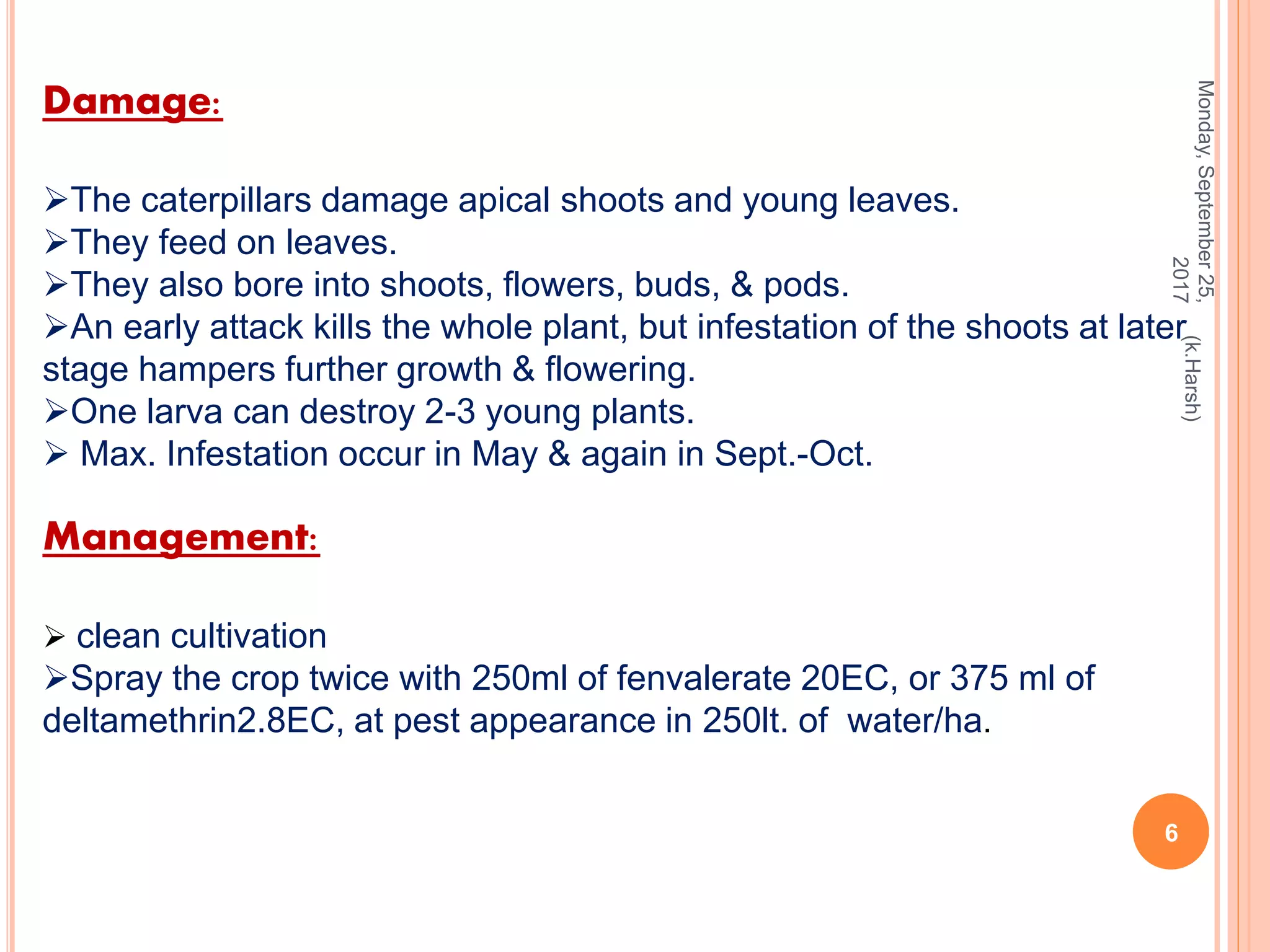insect-pest of sesame | PPTX