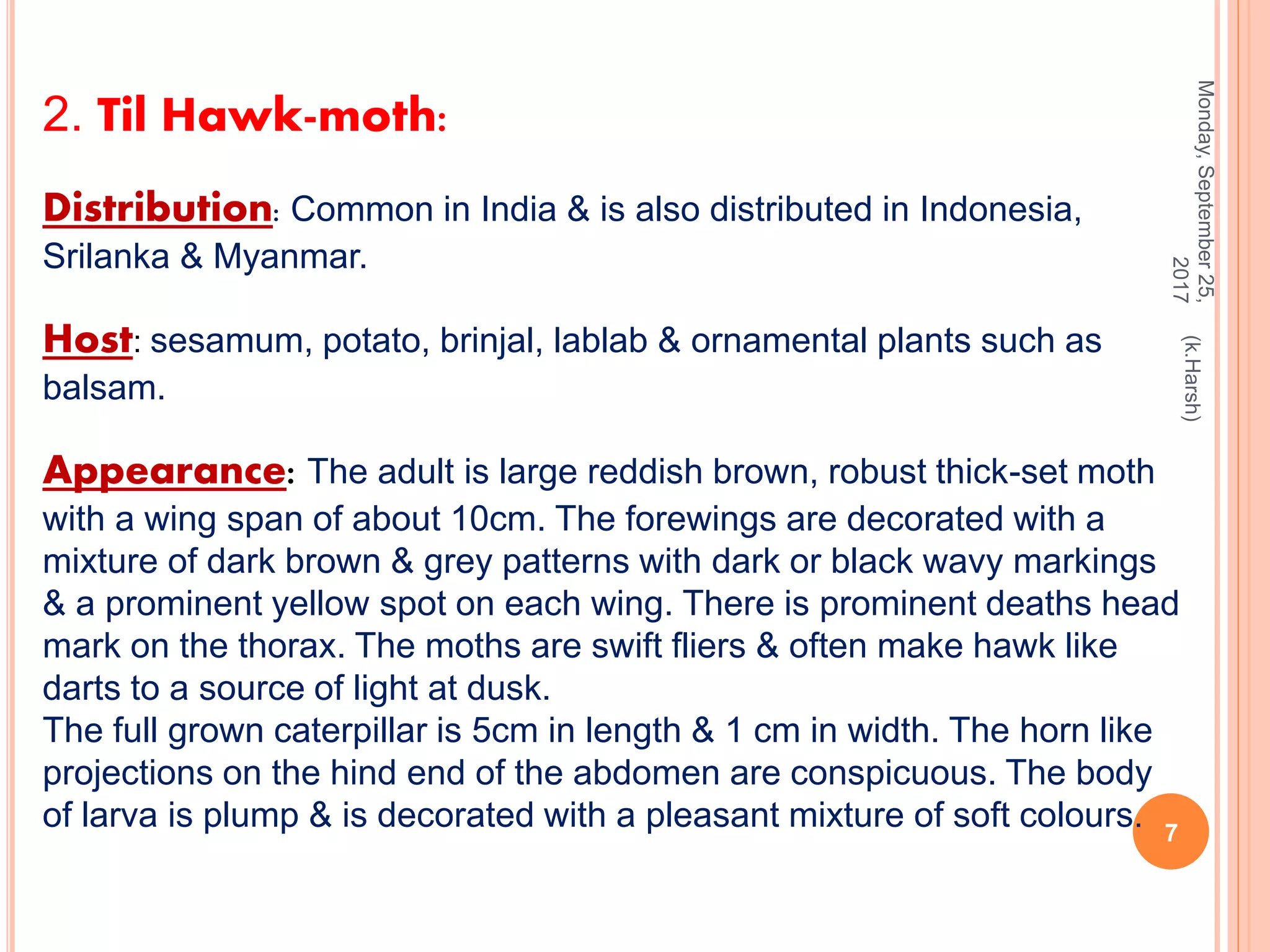 insect-pest of sesame | PPTX