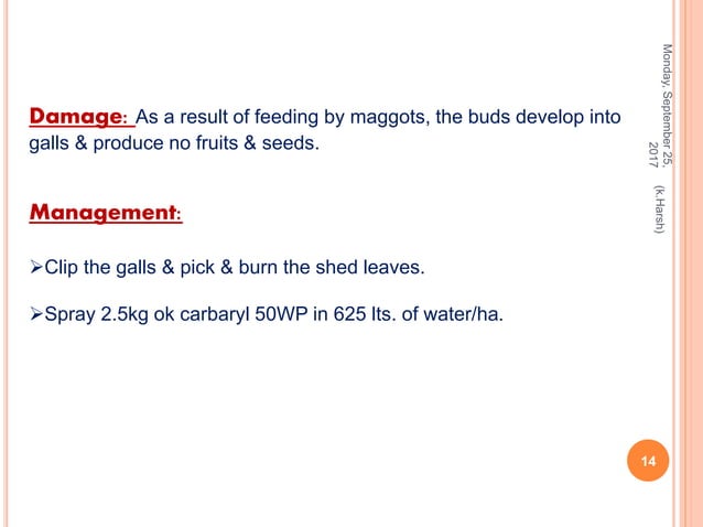 insect-pest of sesame | PPTX | Gardening | Home & Garden