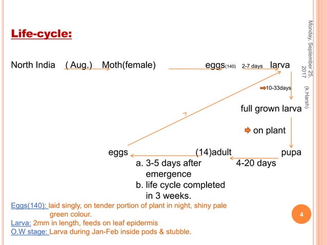 insect-pest of sesame | PPTX | Gardening | Home & Garden