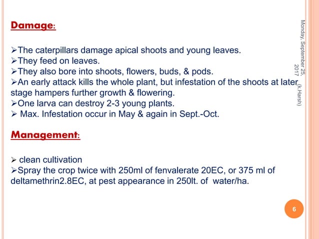 insect-pest of sesame | PPTX | Gardening | Home & Garden