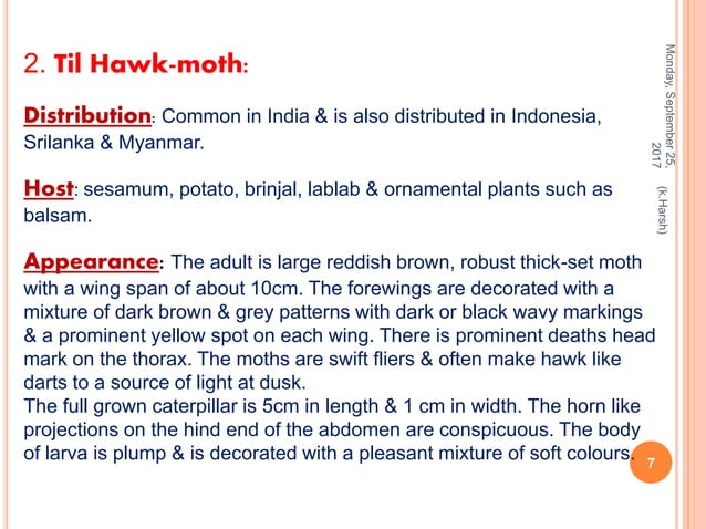 insect-pest of sesame | PPTX | Gardening | Home & Garden