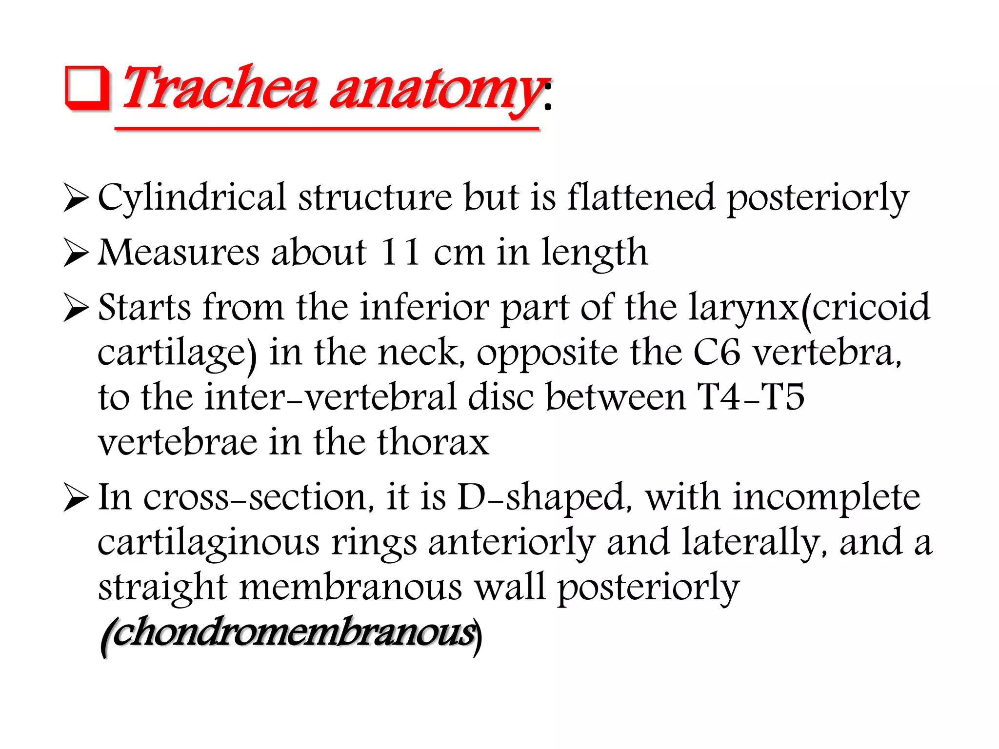 Tracheostomy | PPTX