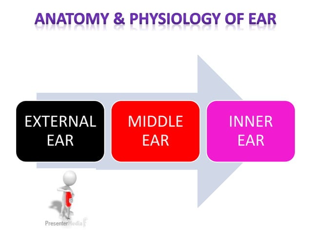 ENT ASSESSMENT | PPTX | Ear, Nose and Throat Conditions | Diseases and ...