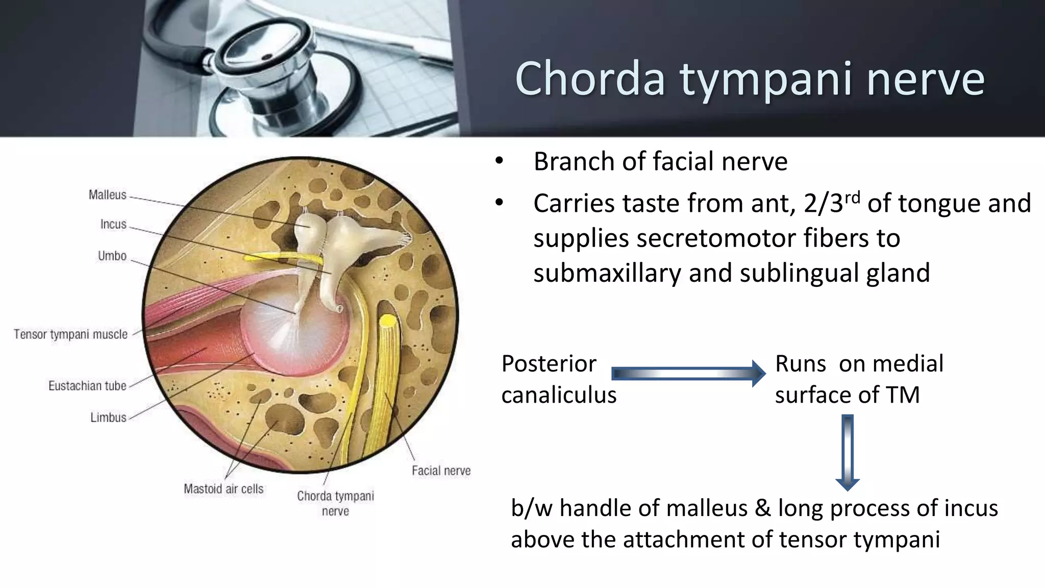 Anatomy of middle ear | PPTX