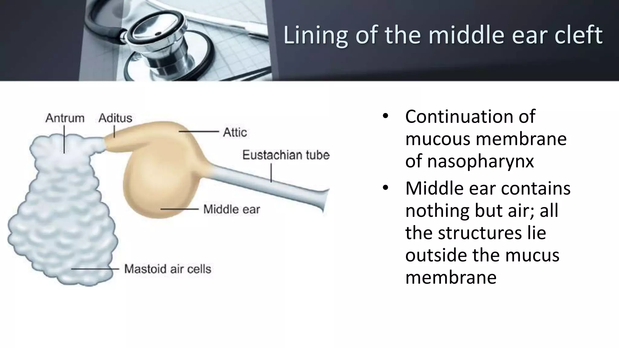 Anatomy of middle ear | PPTX