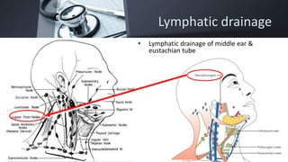 Anatomy of middle ear | PPTX
