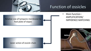 Anatomy of middle ear | PPTX